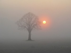 Silent Contemplation - Listening Hearts Ministries